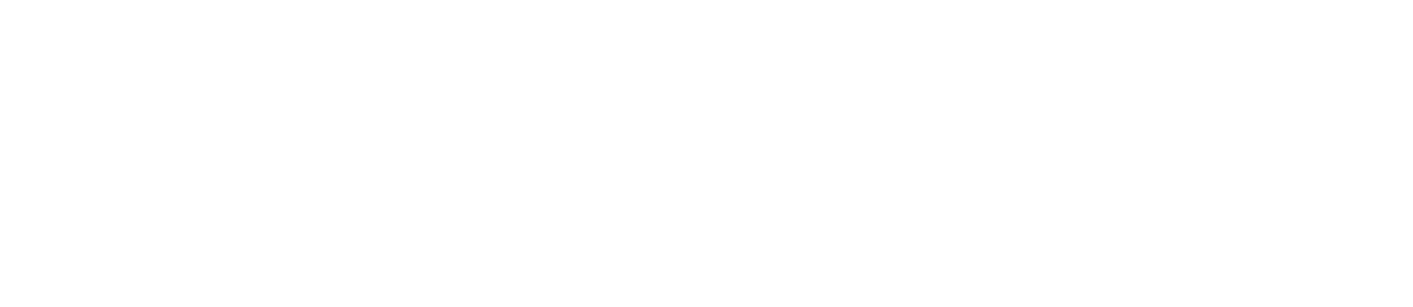 Foxguard - Cyber Security & Custom Compute Solutions