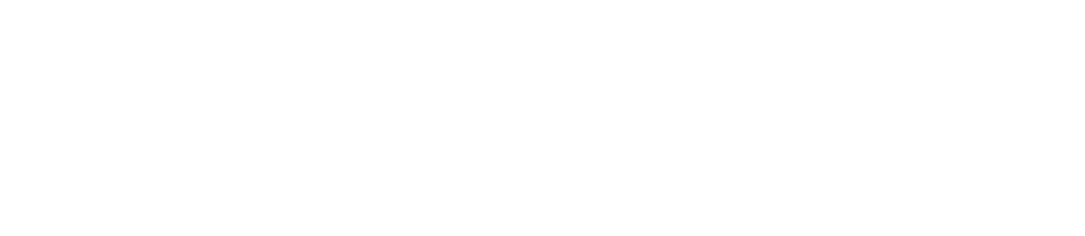 Foxguard - Cyber Security & Custom Compute Solutions